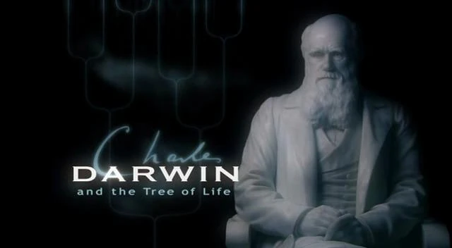 Charles Darwin and the Tree of Life | David Attenborough Wiki | Fandom