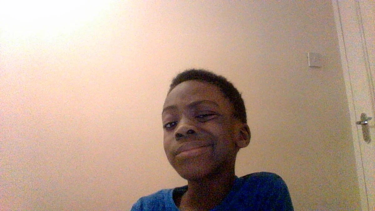 David | David Wiki | Fandom