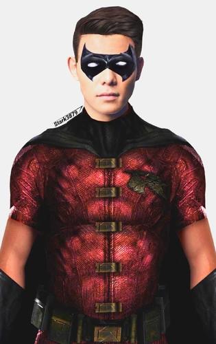 Red Robin | David's Superhero TV Universe (Fan-Made) Wiki | Fandom