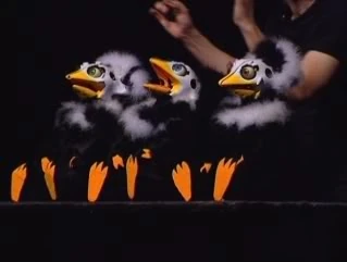 The Crows | David Strassman Wiki | Fandom