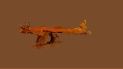 Woodluma | DAW Testing Grounds Wiki | Fandom