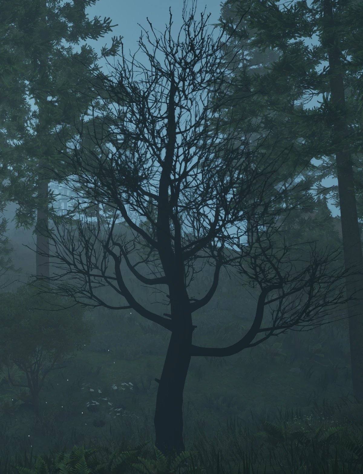 Darkwood Tree | Dawn of Defiance Wiki | Fandom