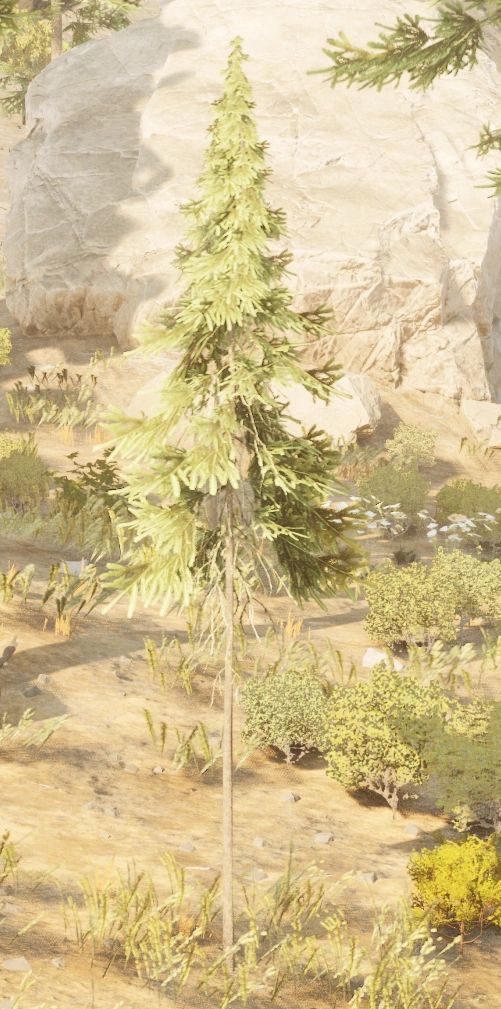 Fir Sapling | Dawn of Defiance Wiki | Fandom