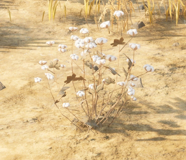 Cotton Plant | Dawn of Defiance Wiki | Fandom
