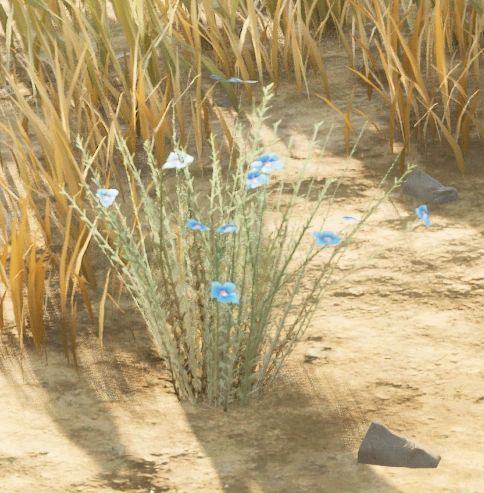 Flax Plant | Dawn of Defiance Wiki | Fandom