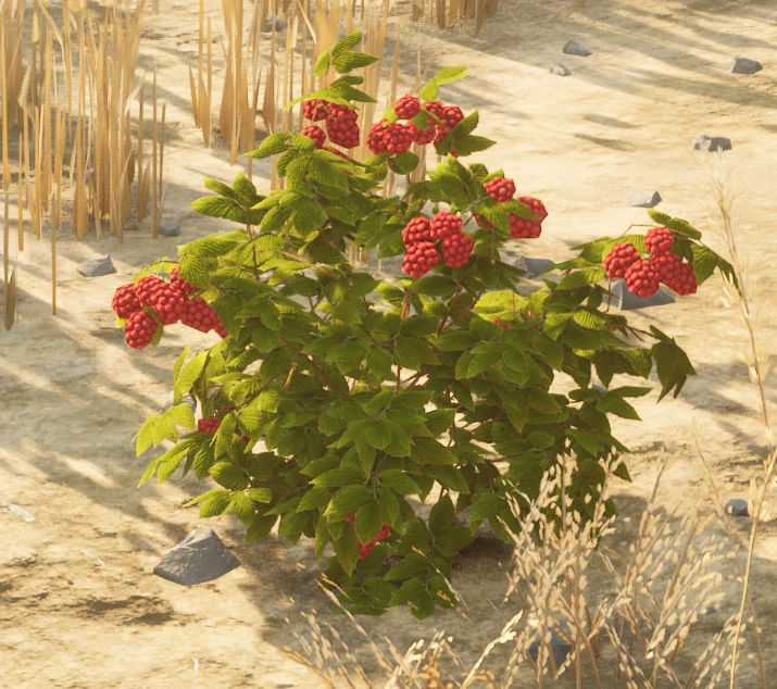 Raspberry Bush | Dawn of Defiance Wiki | Fandom