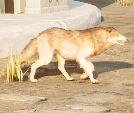 Wolf | Dawn of Defiance Wiki | Fandom