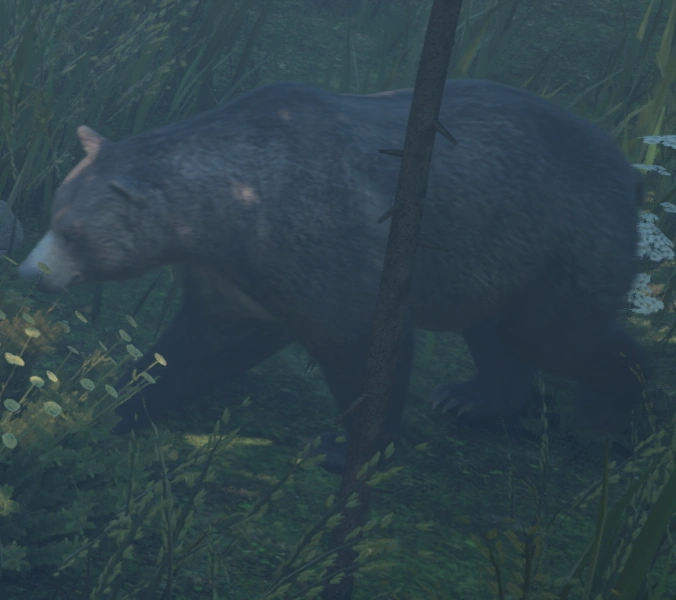 Brown Bear | Dawn of Defiance Wiki | Fandom