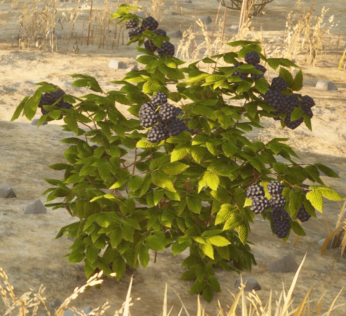 Blackberry Bush | Dawn of Defiance Wiki | Fandom