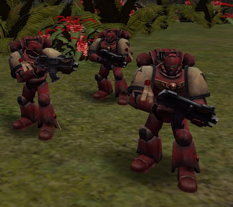Space Marines: Space Marine Squad | Dawn of War Unification Mod Wiki ...
