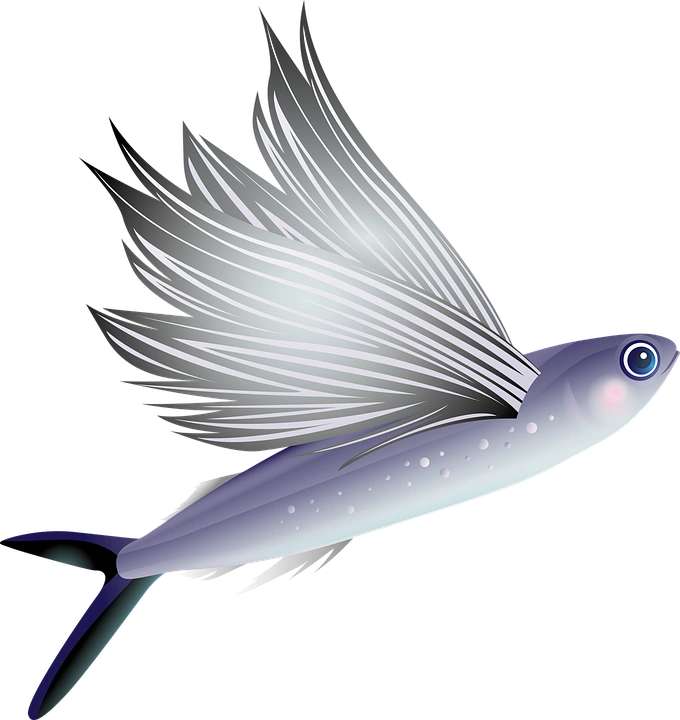 Sparrow Minows | Dawnconnect Wiki | Fandom