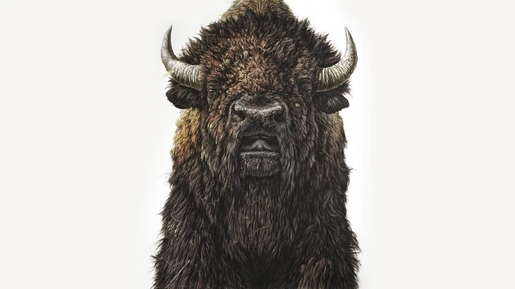 Armin | Dawnconnect Wiki | Fandom