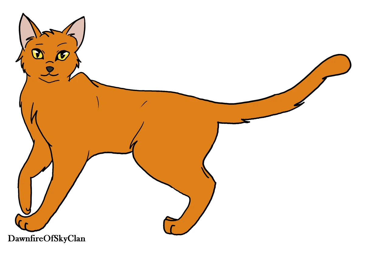 Fireclaw | DawnfireOfSkyClan Wiki | Fandom