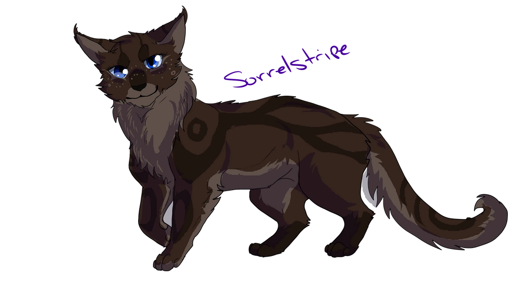 Sorrelstripe | Dawnheart's Story Wiki | Fandom