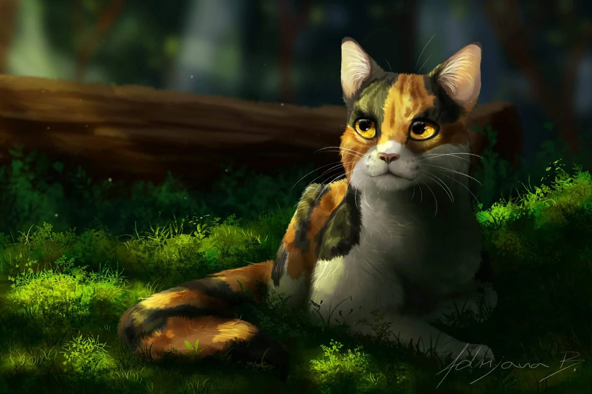 Dapplepelt | Dawnheart's Story Wiki | Fandom