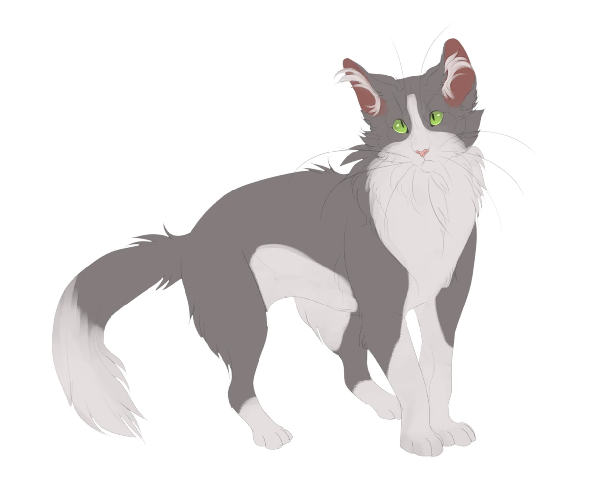 Mousewhisker | Dawnheart's Story Wiki | Fandom