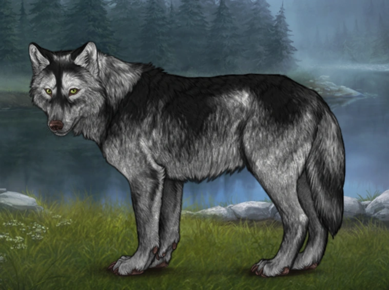 Sage | Dawnmist Wiki | Fandom