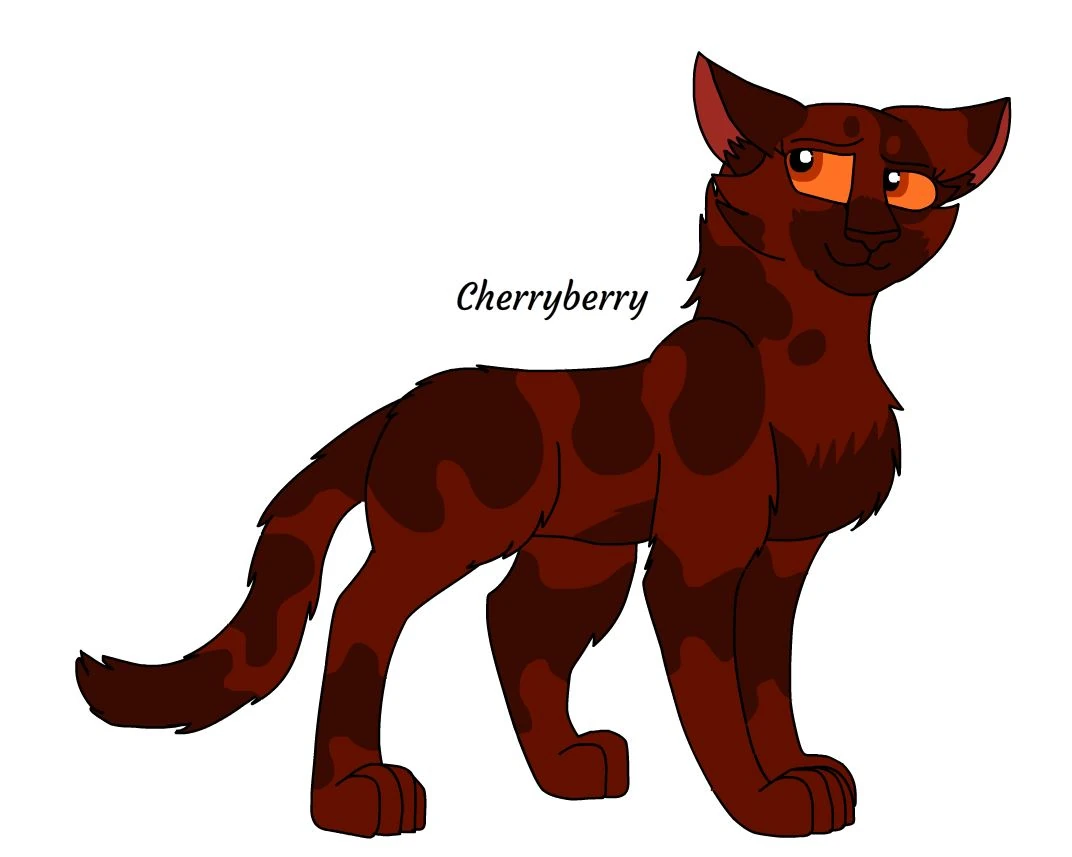 Warrior Cats Cherrykit