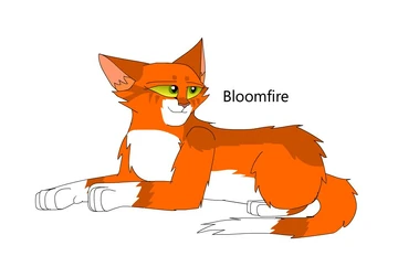 bloomkit warrior cats