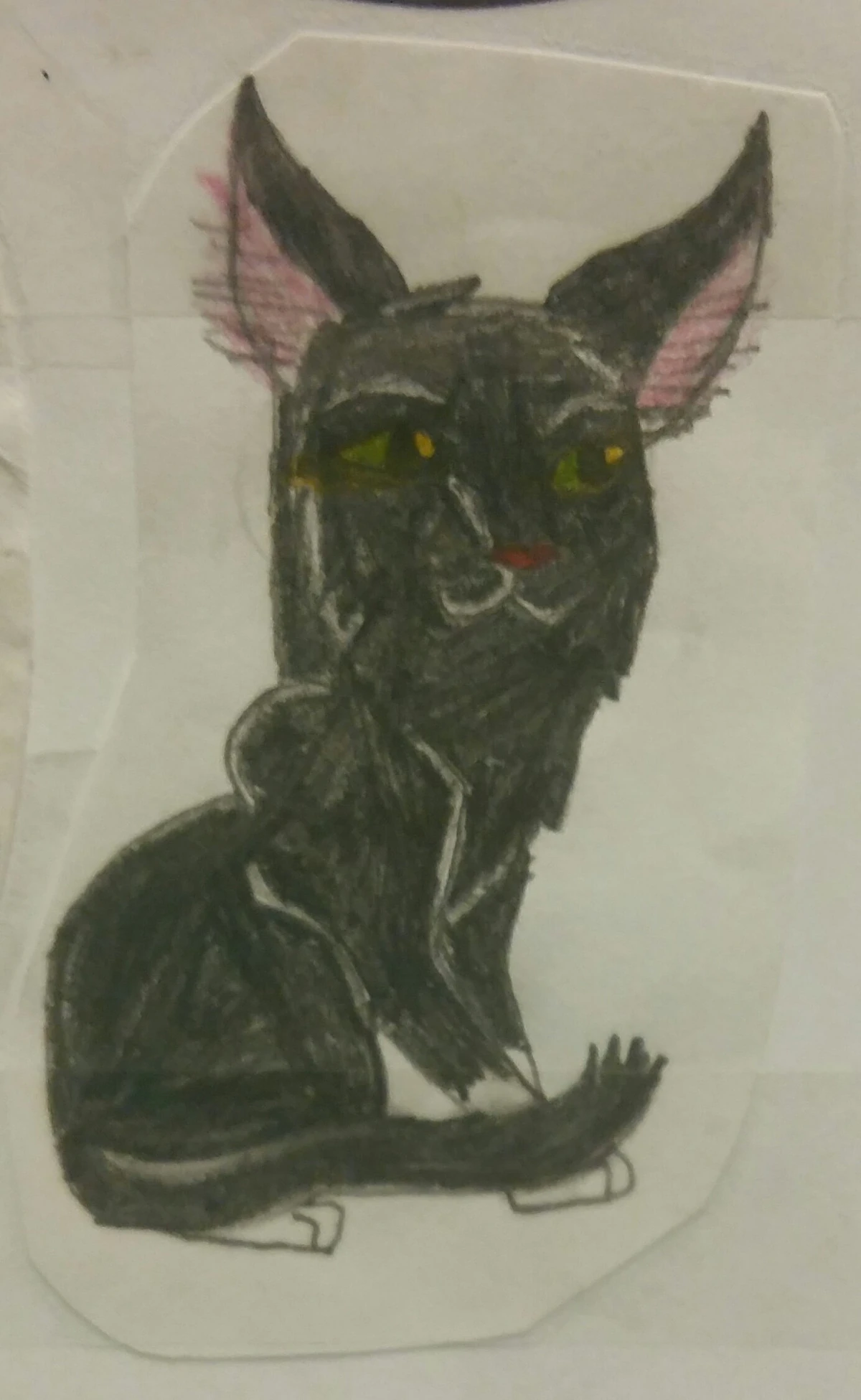 Crow | Dawnmistfanfiction Wiki | Fandom