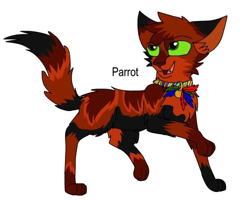 Parrot | Dawnmistfanfiction Wiki | Fandom