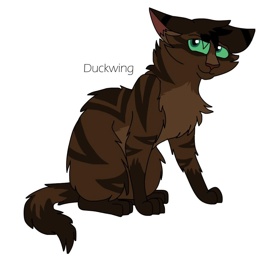 Duckwing | Dawnmistfanfiction Wiki | Fandom