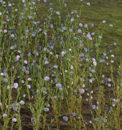 Flax - Dawn of Man Wiki