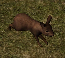 Rabbit | Dawntide Wiki | Fandom