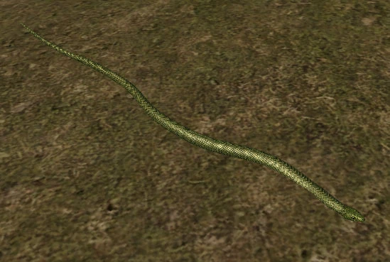 Category:Snakes | Dawntide Wiki | Fandom