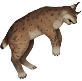 Lynx | DayR Wiki | Fandom