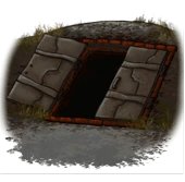 Cellar | DayR Wiki | Fandom