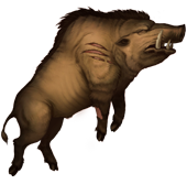 Boar | DayR Wiki | Fandom