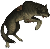 She-wolf (Wolf cub quest) | DayR Wiki | Fandom