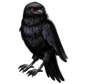 Raven | DayR Wiki | Fandom