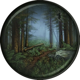 Forest | DayR Wiki | Fandom