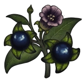 Deadly nightshade | DayR Wiki | Fandom