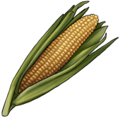 Corn | DayR Wiki | Fandom