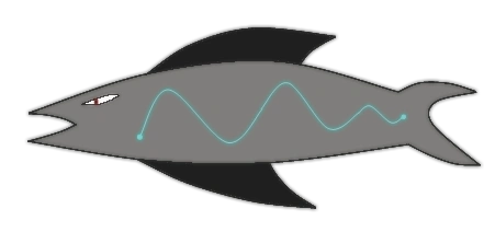 Combustish | Dayan Wiki | Fandom