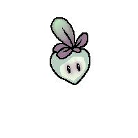 Shubit | Dayan Wiki | Fandom
