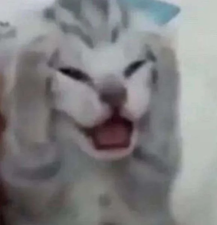 Daryl Ross (PR AU) | Daybreak's AUs Wiki | Fandom