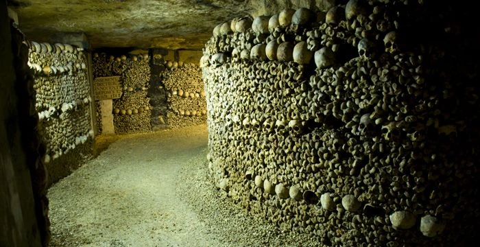 The Tunnels of Bone | Dayeimbe (Dungeon Master's Block) Wikia | Fandom