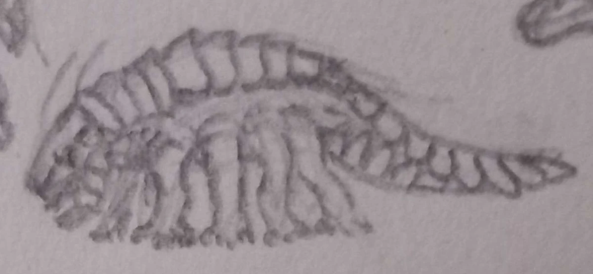 Archaeopod | Dayju Spec Evo Wiki | Fandom