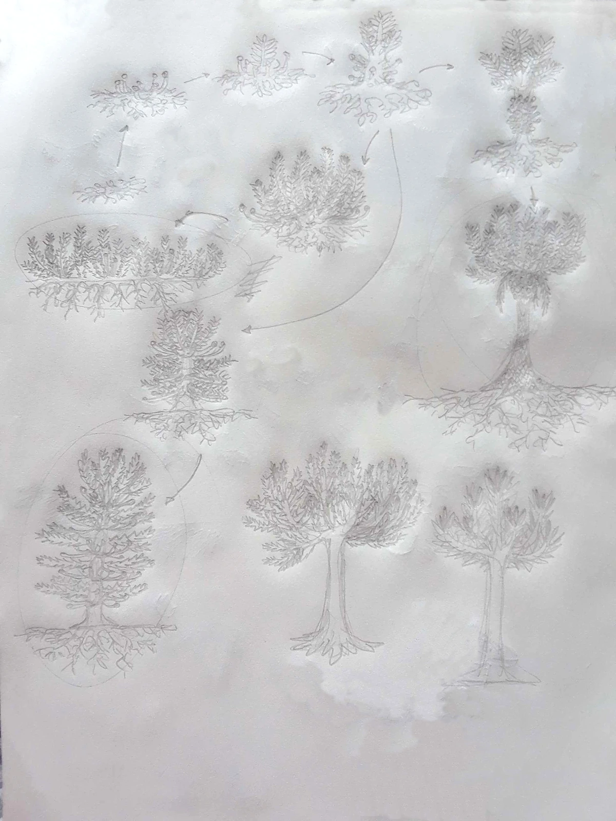 Plants | Dayju Spec Evo Wiki | Fandom