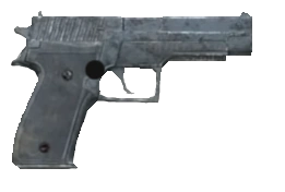 SAP9 | Days Gone вики | Fandom