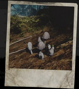 Ink Cap | Days Gone Wiki | Fandom