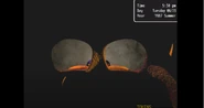 Cool Cat | Dayshift at Freddy's Wikia | Fandom