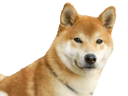 Doggo | Dayshift at Freddy's Wikia | Fandom