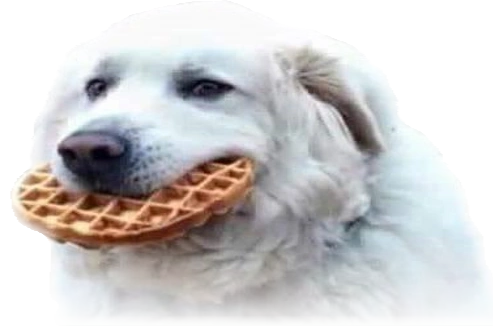 DirectDoggo | Dayshift at Freddy's Wikia | Fandom