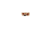 Doggo | Dayshift at Freddy's Wikia | Fandom