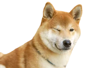 Doggo | Dayshift at Freddy's Wikia | Fandom